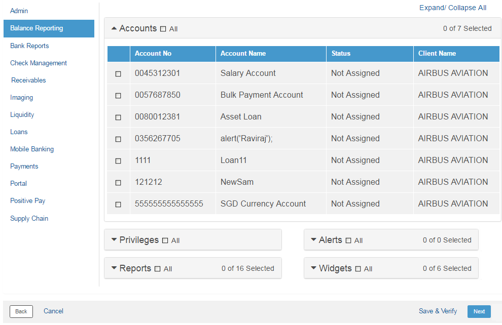 Specifying permissions for balance reporting